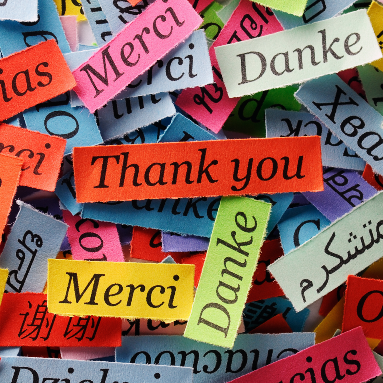 Thank You - Rainbow Diversity Institute: Equity, Diversity & Inclusion Training| Diversity ...